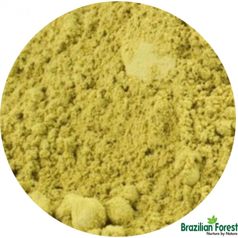 Yerba Mate Powdered Extract